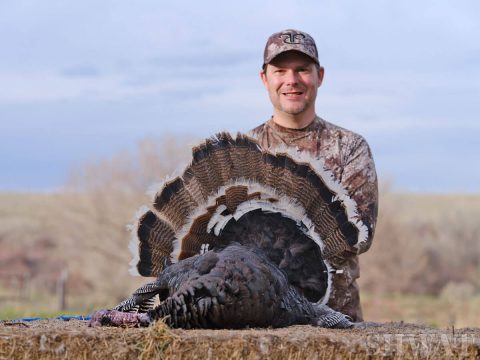 Sex, Lies and Deception – Ambush Turkey Hunting with the Best – SHWAT™