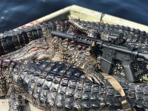 Tactical Alligator Hunting? "Yes, Please!" She Says! – SHWAT™