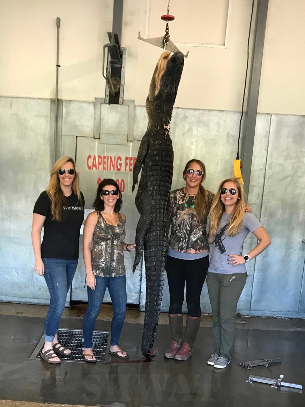 Tactical Alligator Hunting? "Yes, Please!" She Says! – SHWAT™