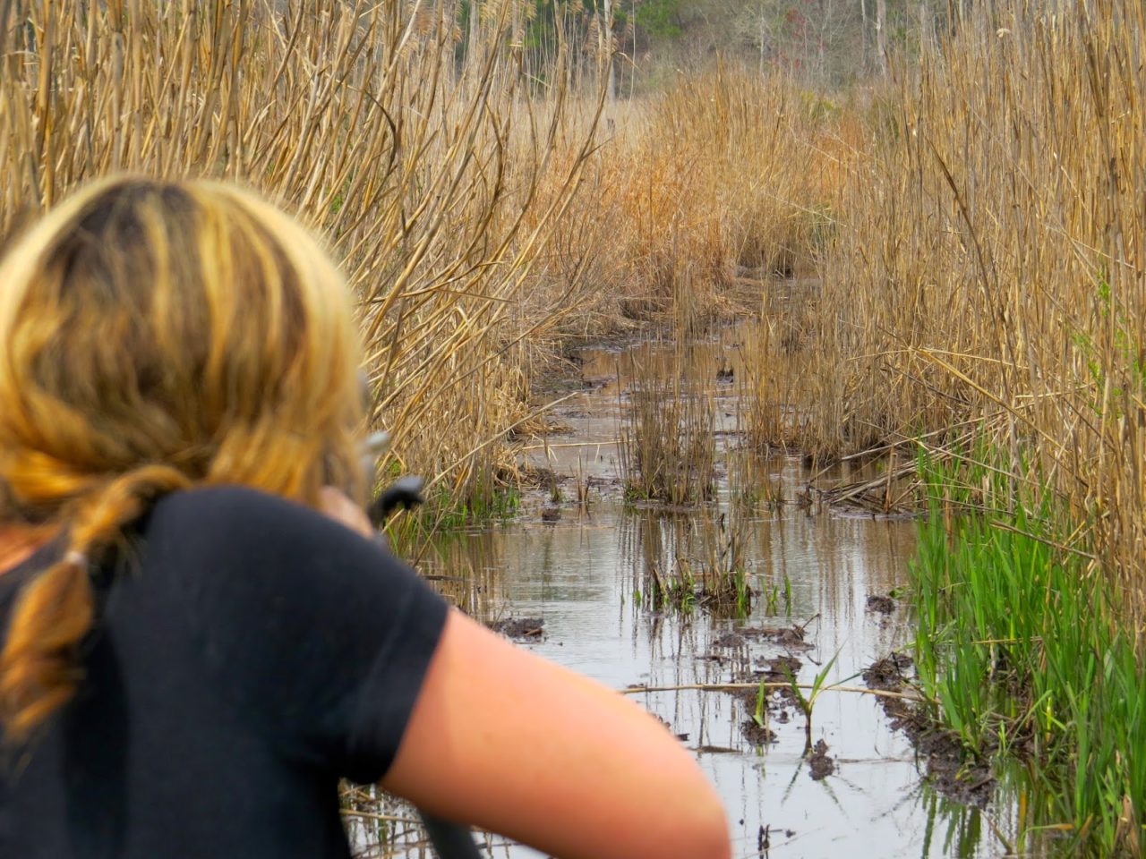 Tactical Alligator Hunting? "Yes, Please!" She Says! – SHWAT™